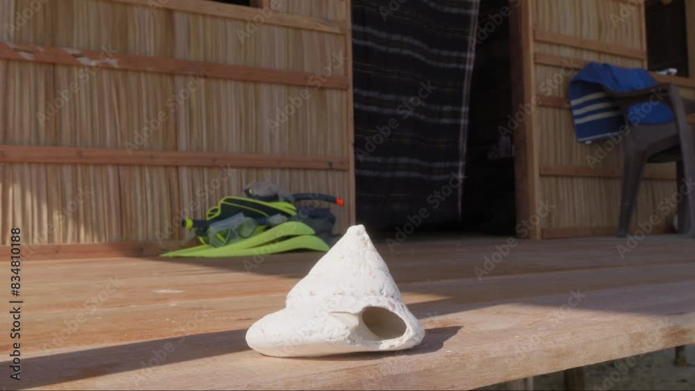 Close-up of a seashell on a wooden deck, with snorkeling gear in the ...