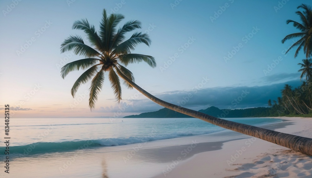 tall coconut tree with a single branch reaching to the sea on the beach ...