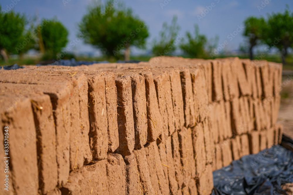 Kilned mud bricks stored outside the Zurmala Stupa and used for ...
