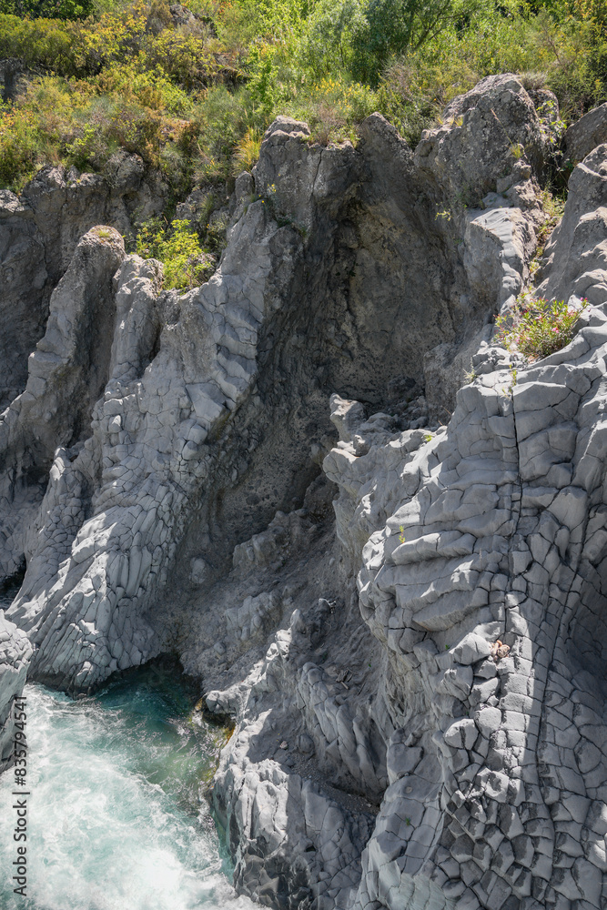 Vegetation on Alcantara river gorges with its lava rocky walls, lies ...