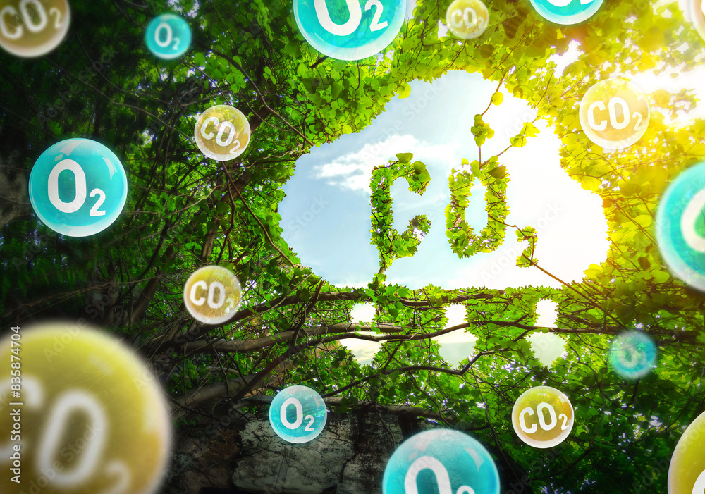 Concept depicting the issue of carbon dioxide emissions and its impact ...