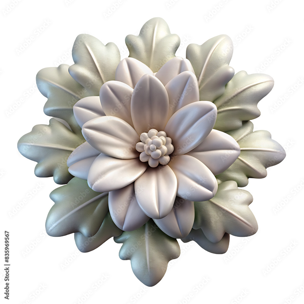 Dusty Miller Flower Hyperrealistic Highly Detailed Isolated On ...