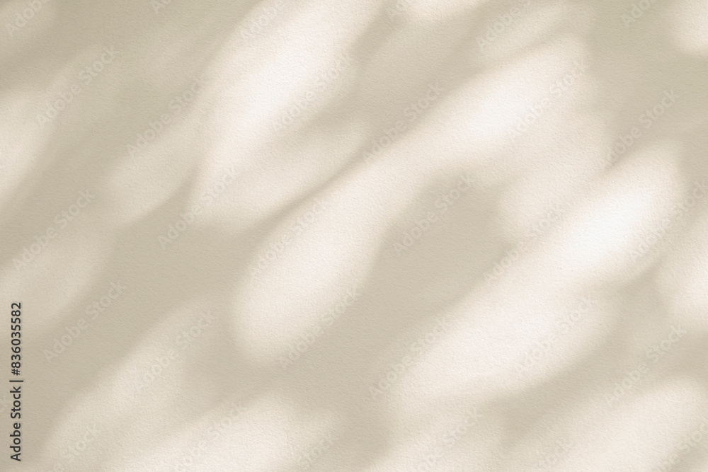 Abstract light shadow of leaf blurred background. Window shadows ...