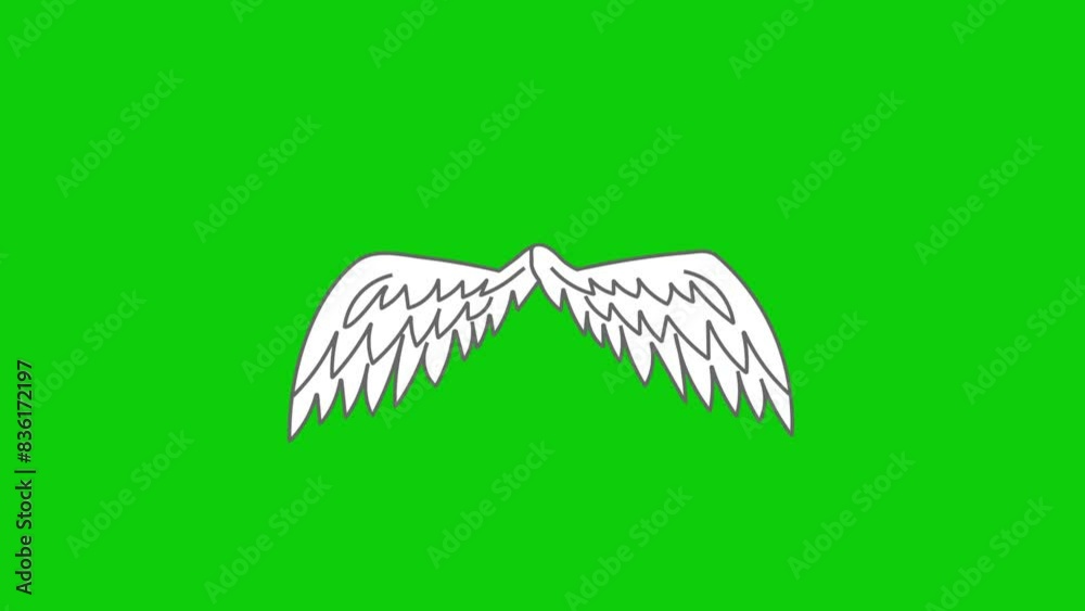 The original Angel wings green screen package contains three videos ...