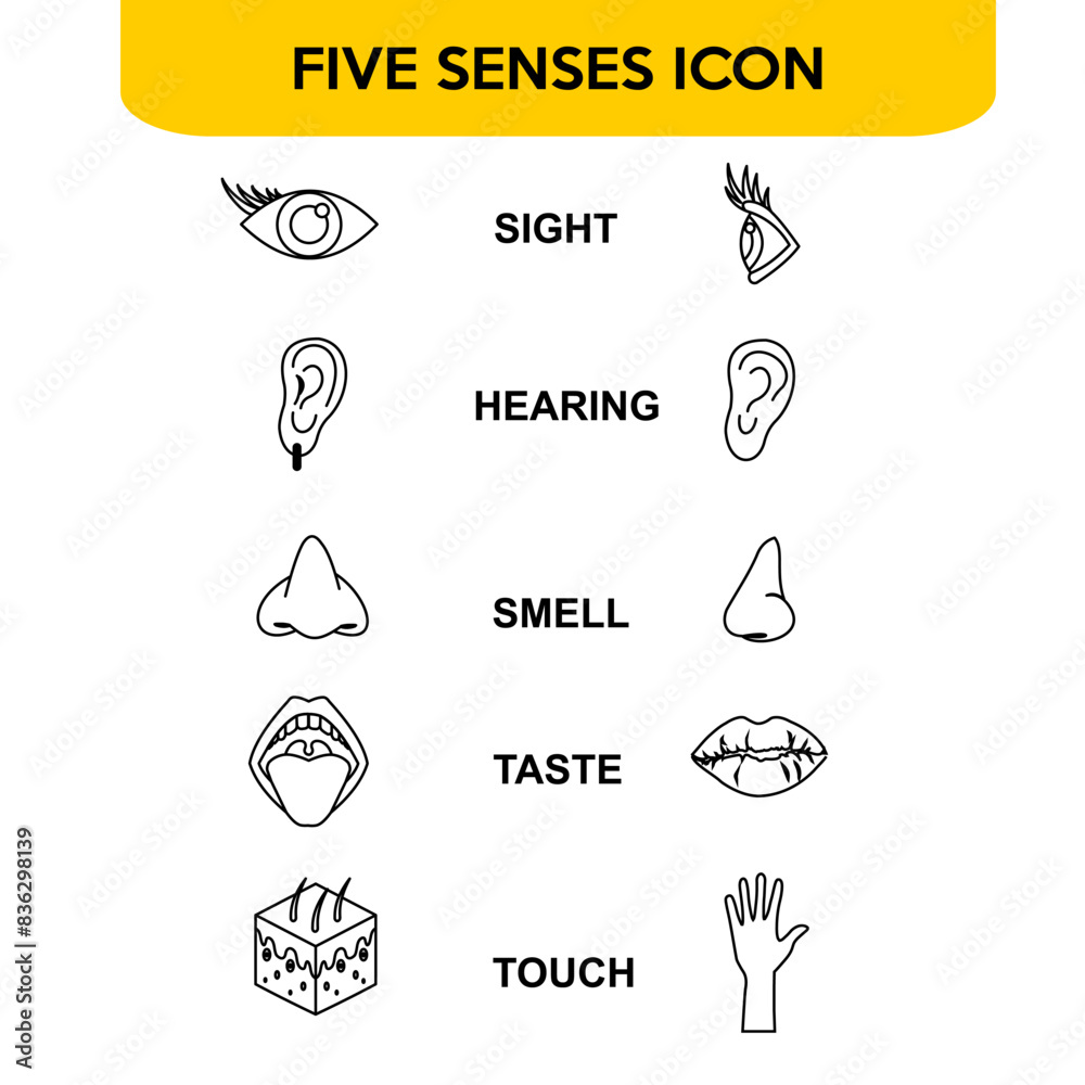 Vetor de Illustration of Five senses icon. Five senses icon include ...