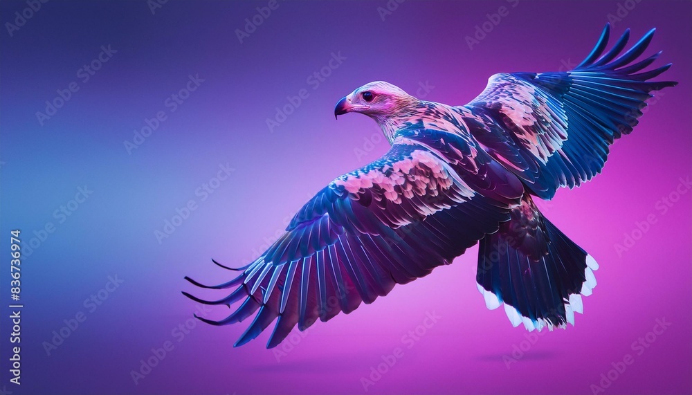 background with wings, wallpaper angel wings, angel wings on black ...