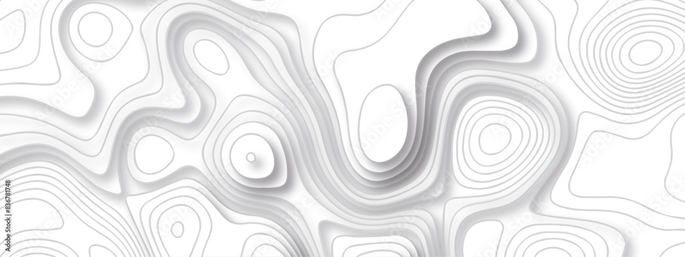 Vector geographic contour map. Topography map background. Black and ...