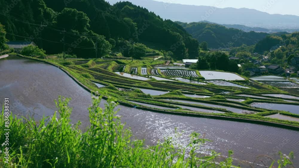 Japanese farming villages, terraced rice field scenery, agriculture ...