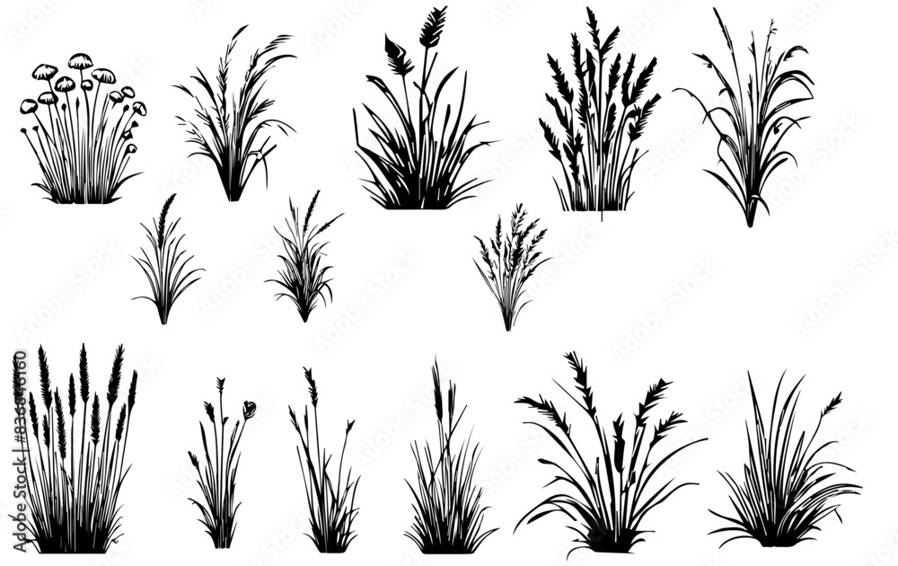 Set of grass line cad and silhouettes isolated on white background ...