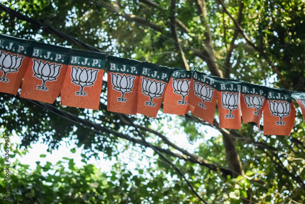 New Delhi, India - May 23 2024 - Bharatiya Janata Party Logo of Indian ...