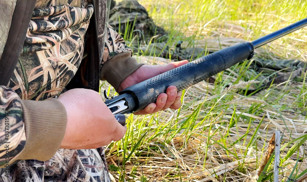 Shotgun in hunter hand. Hunter loads Cartridge (firearms) with shot ...