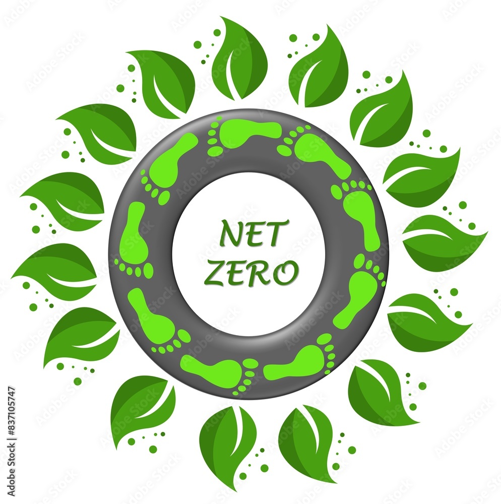 How to Achieve Net Zero Carbon Emissions Strategies for Carbon ...