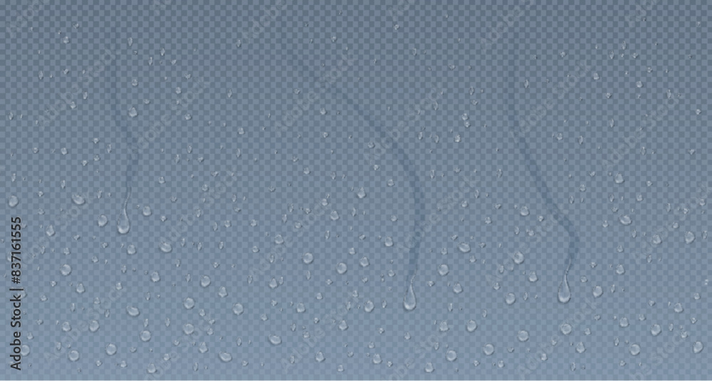 Realistic water drop vectors isolated on transparent background. Vector ...