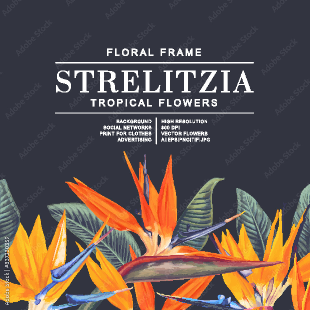 Square template with botanical tropical design on dark background ...