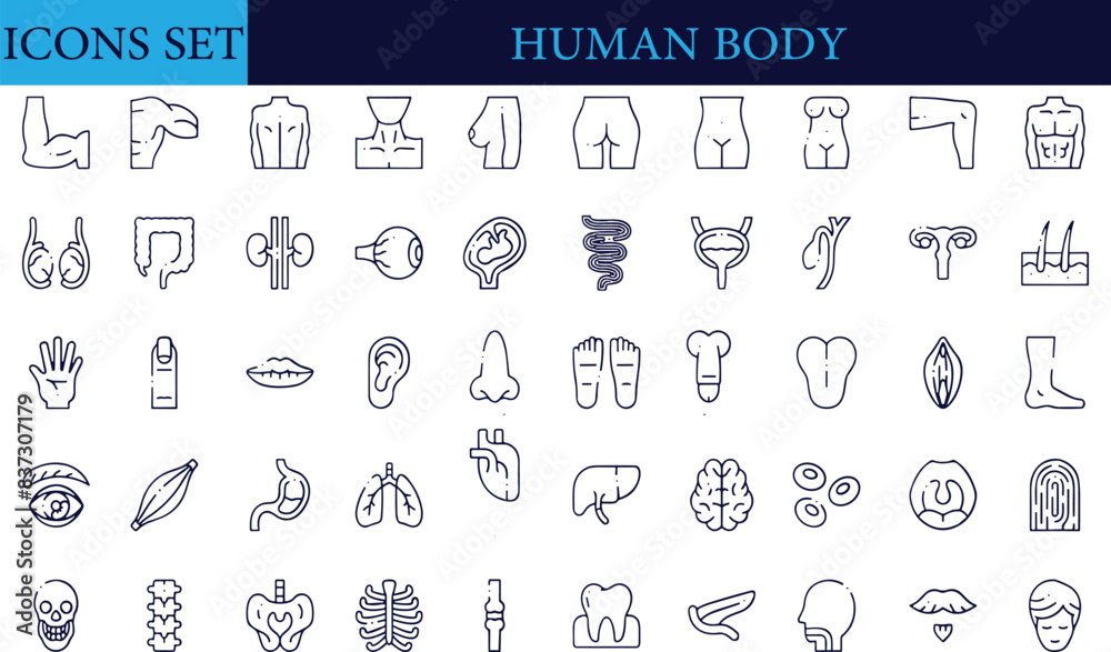 Human Body Line Editable Icons set. Vector illustration in modern thin ...