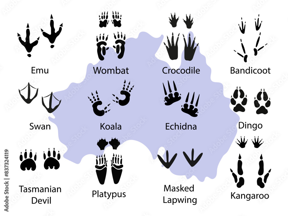 Australian animals paw prints. Different wild animals footprints black ...