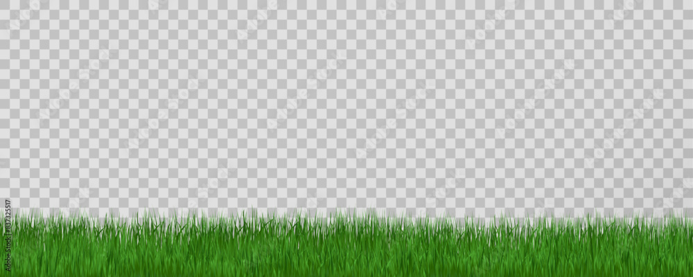 Grass border, vector illustration. Vector grass, lawn. Grass png, lawn ...