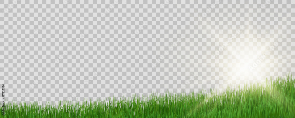 Grass border, vector illustration. Vector grass, lawn. Grass png, lawn ...