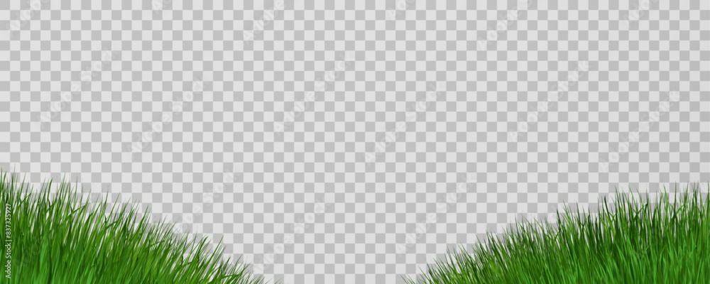 Vetor de Grass border, vector illustration. Vector grass, lawn. Grass ...