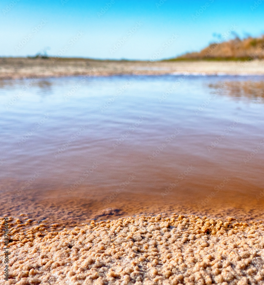 Mineralogy. Shore of hypersalted lake with deposition of salt crystals ...