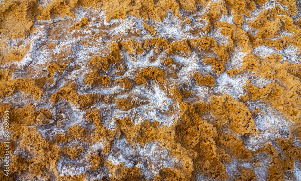 Soil science. An ephemeral lake in the desert that does not ...