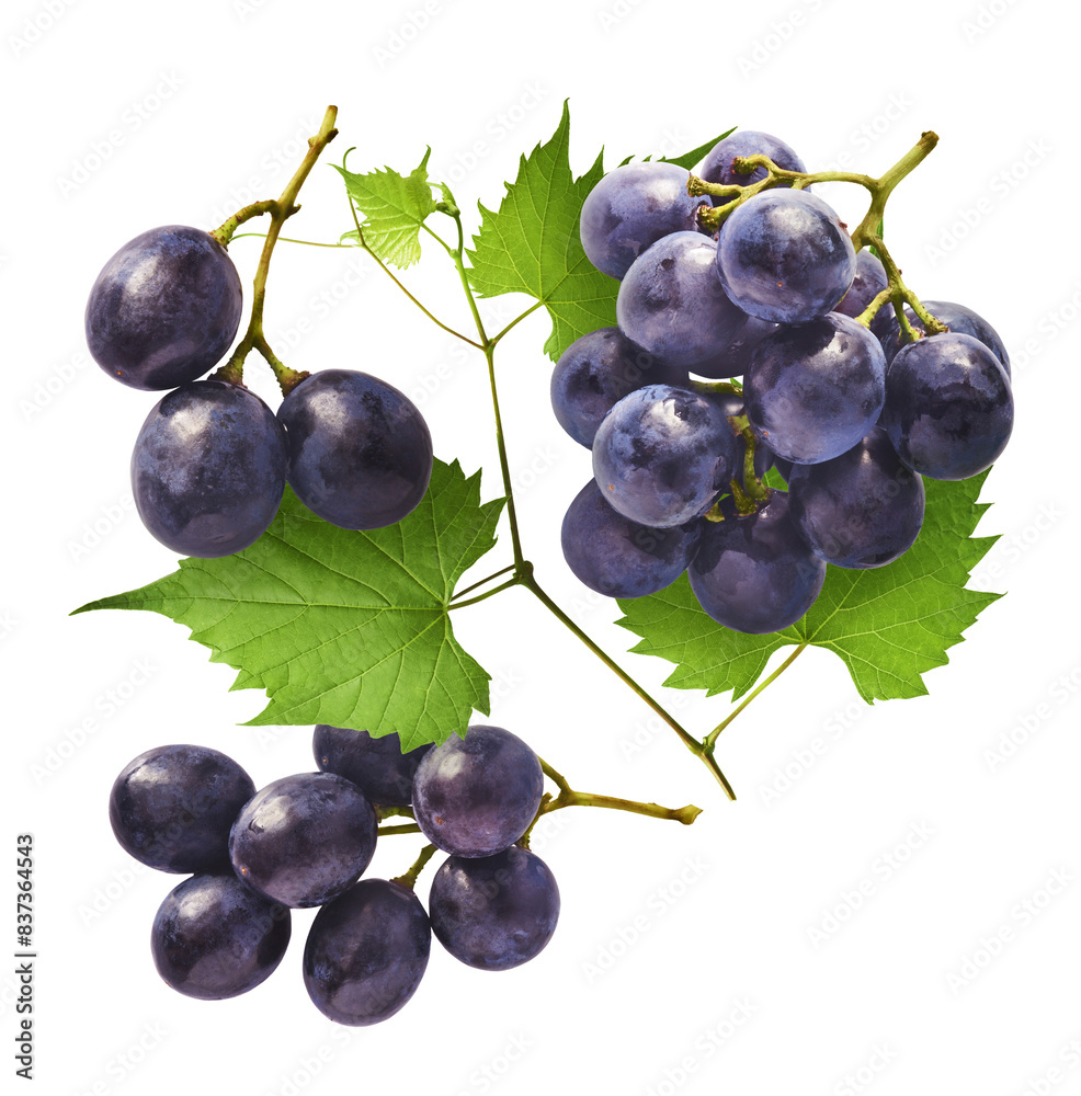 Fresh organic Blue Grape falling in the air isolated on white ...