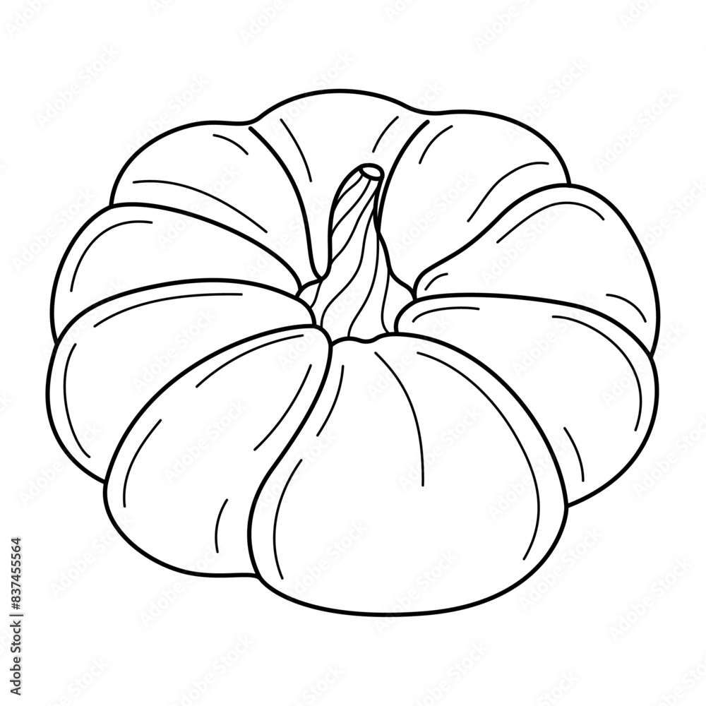 Hand Drawn pumpkin line art. Pumpkin doodle icon. Black and white ...