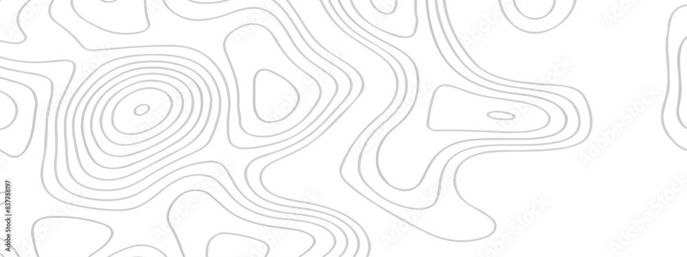Abstract topographic White wave paper curved reliefs. Topographic map ...