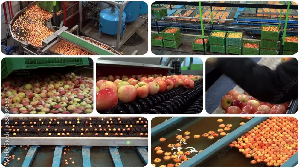 Highly Automated Apple Processing Facility - Multiscreen Video Montage ...