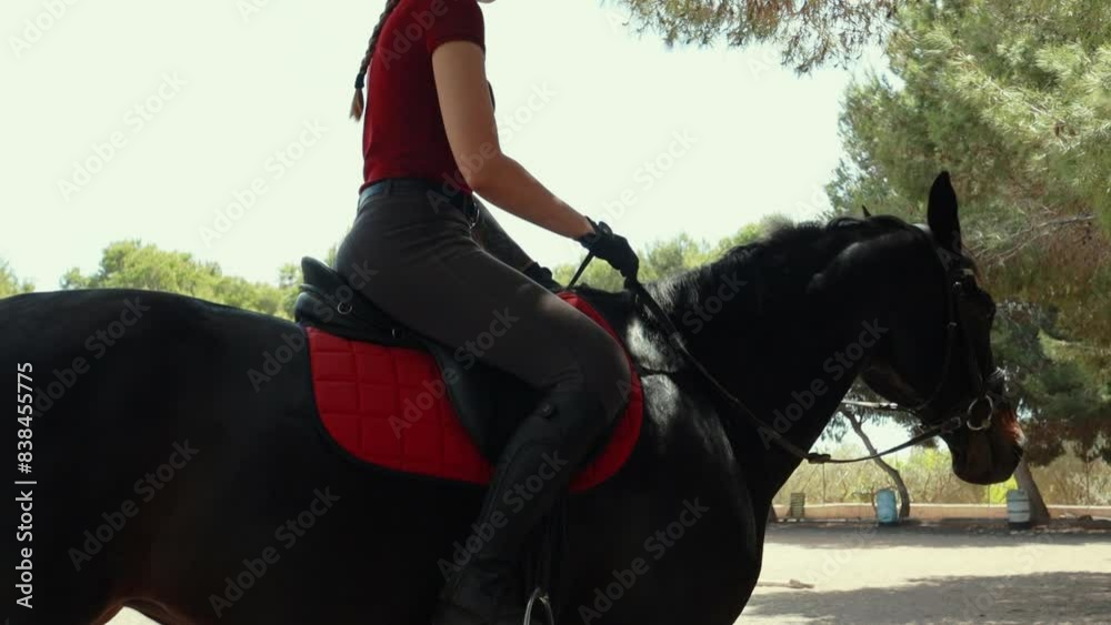 Closeup legs of jockey sitting on horse. Young woman riding brown horse ...