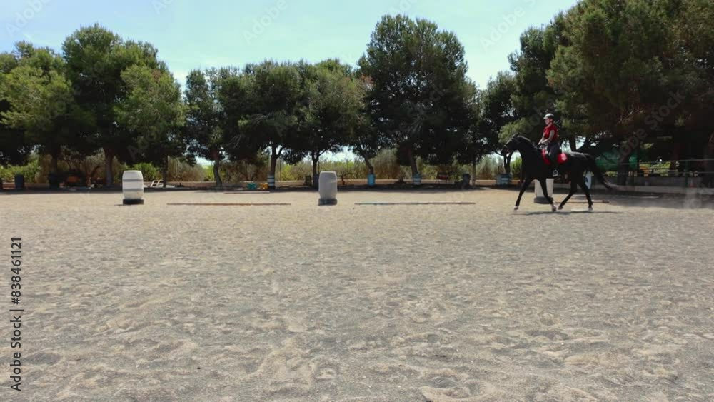 Training process. Young girl riding bay horse on arena at equestrian ...
