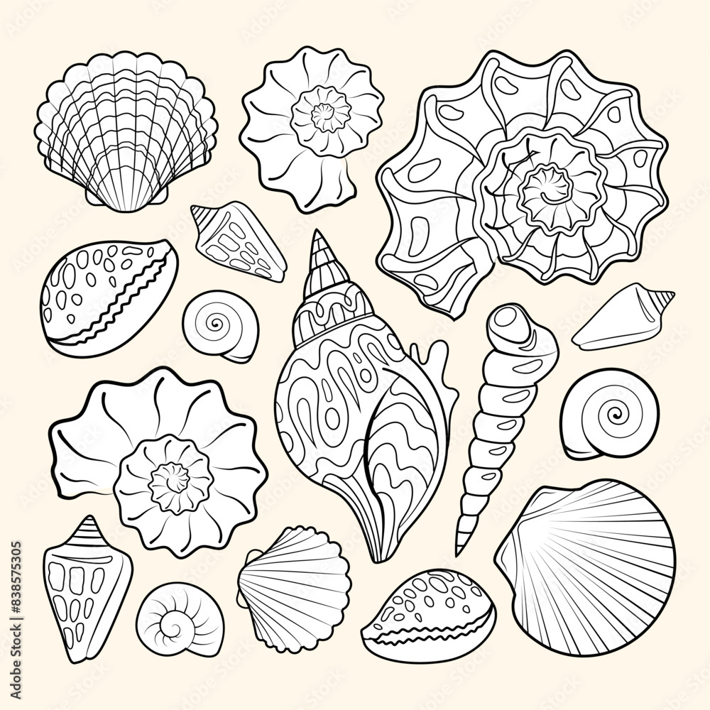 Shells coloring book page for adult. Hand drawn artwork. Seashells ...