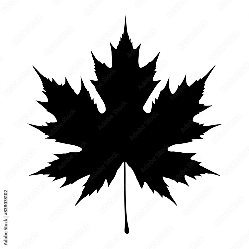 Black maple leaf silhouette isolated on white background. Maple leaf ...