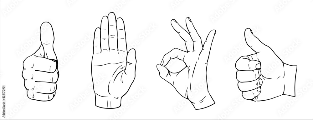 Vector drawing of Hand gesture and sign language. Thumb up, Stop sign ...