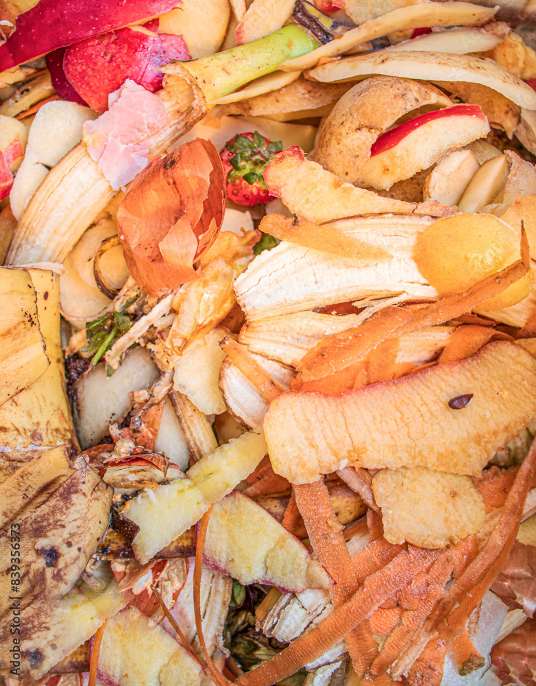 Biowaste container, Kitchen food scraps, including fruits and ...