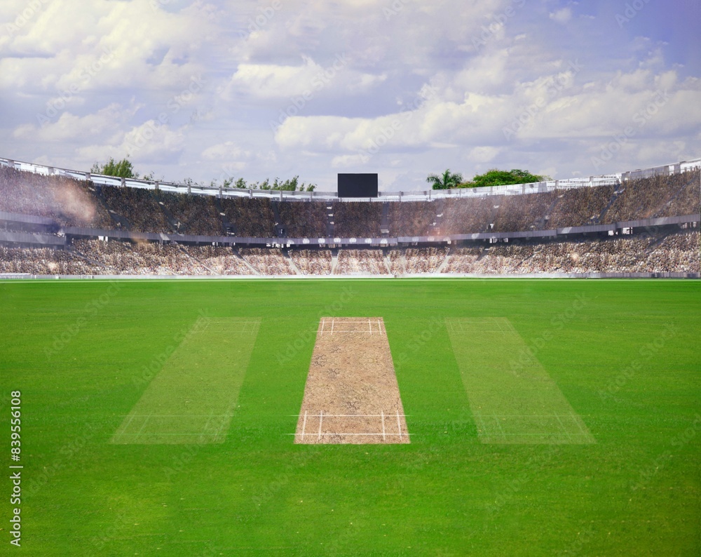 A cricket pitch direct top view of the layout with the grass cricket ...