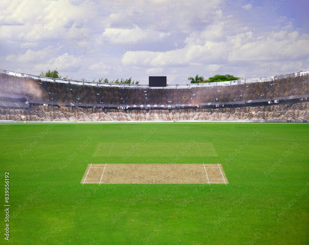 A cricket pitch direct top view of the layout with the grass cricket ...