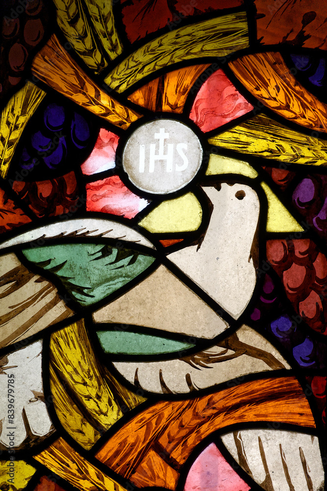 stained glass window depicting a dove of peace symbolizing the holy ...