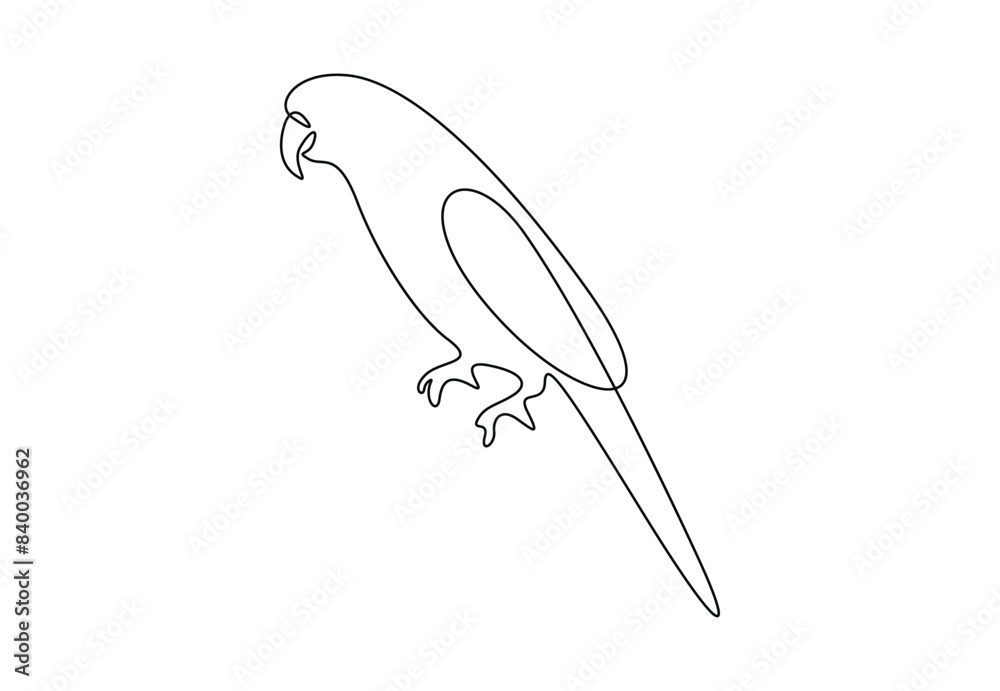 Parrot continuous one line drawing. Isolated on white background vector ...