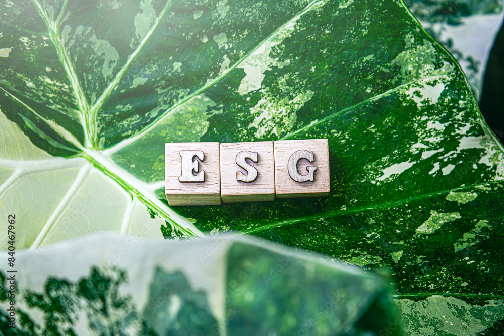 Wooden cube with text "ESG" background beautiful natural greenery of ...