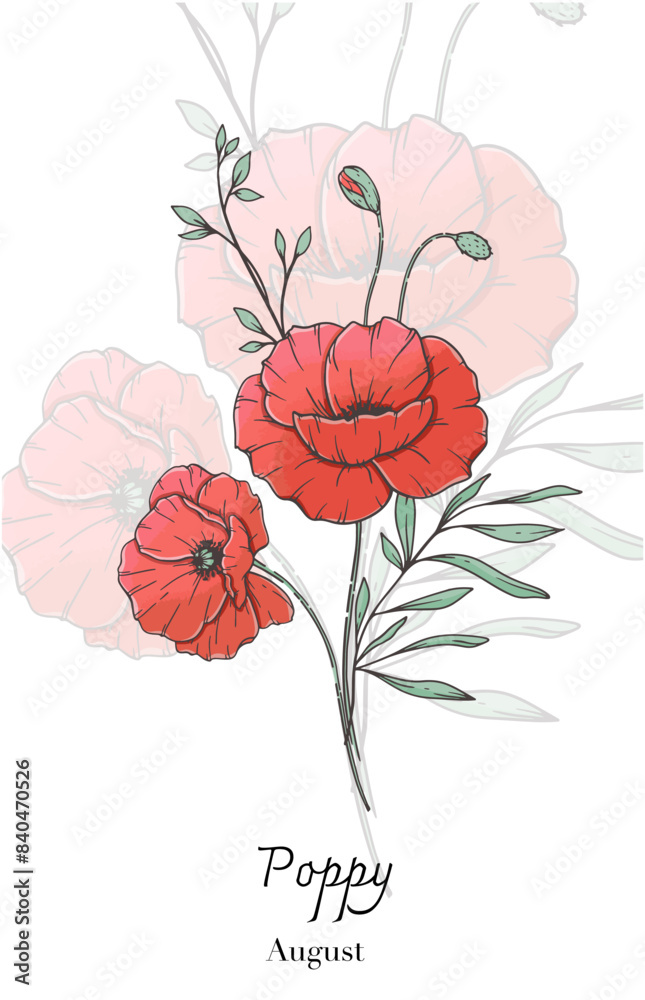 Poppy Line Art. Poppy flower vector Illustration. August Birth Month ...