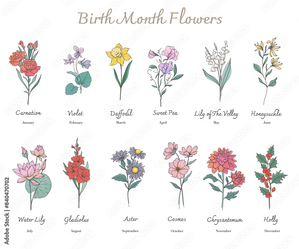 Birth Month Flowers set line art. Outline birth month flowers isolated ...