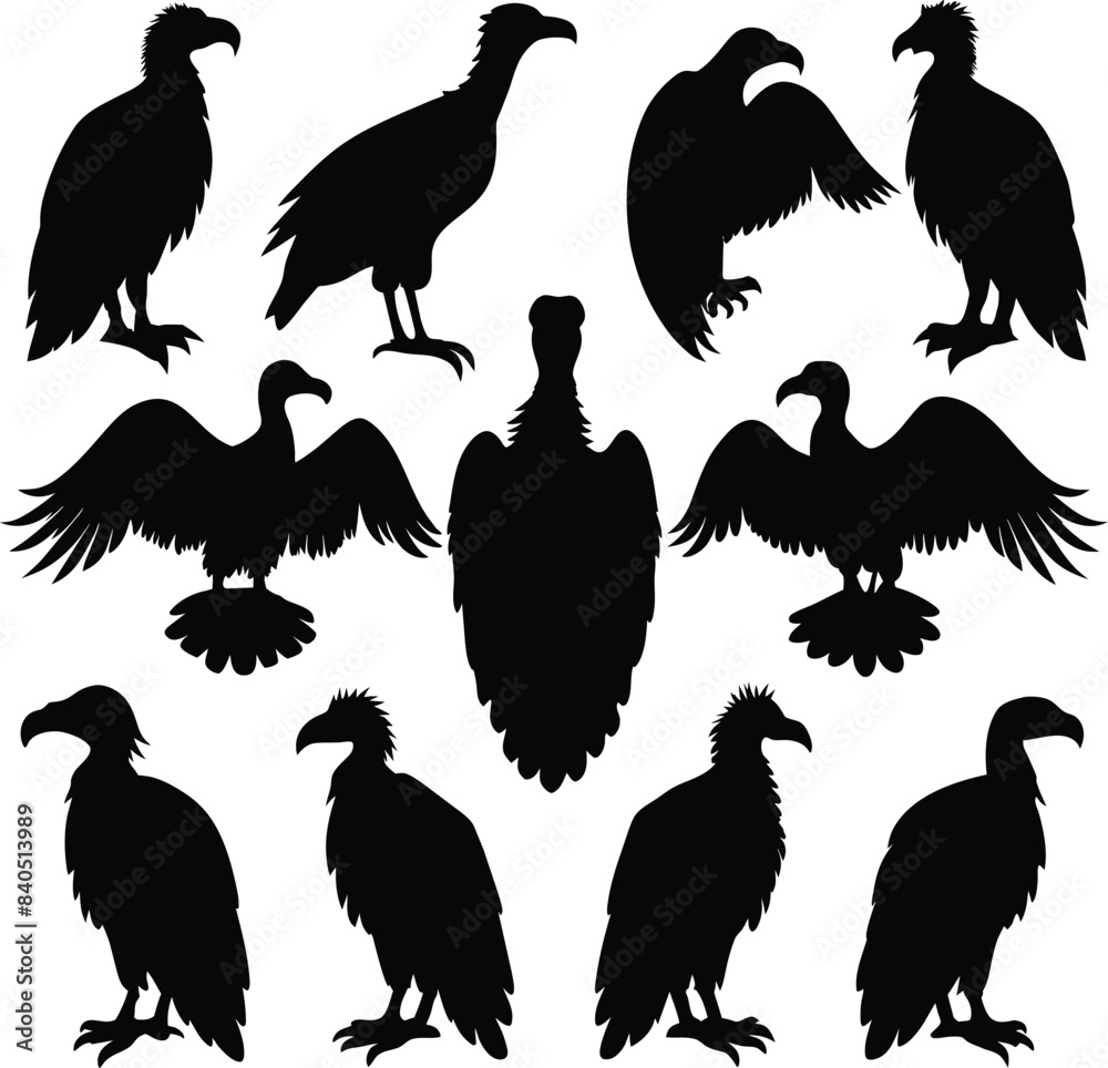 vulture silhouette set collection, Vulture bird icons set. Flying and ...