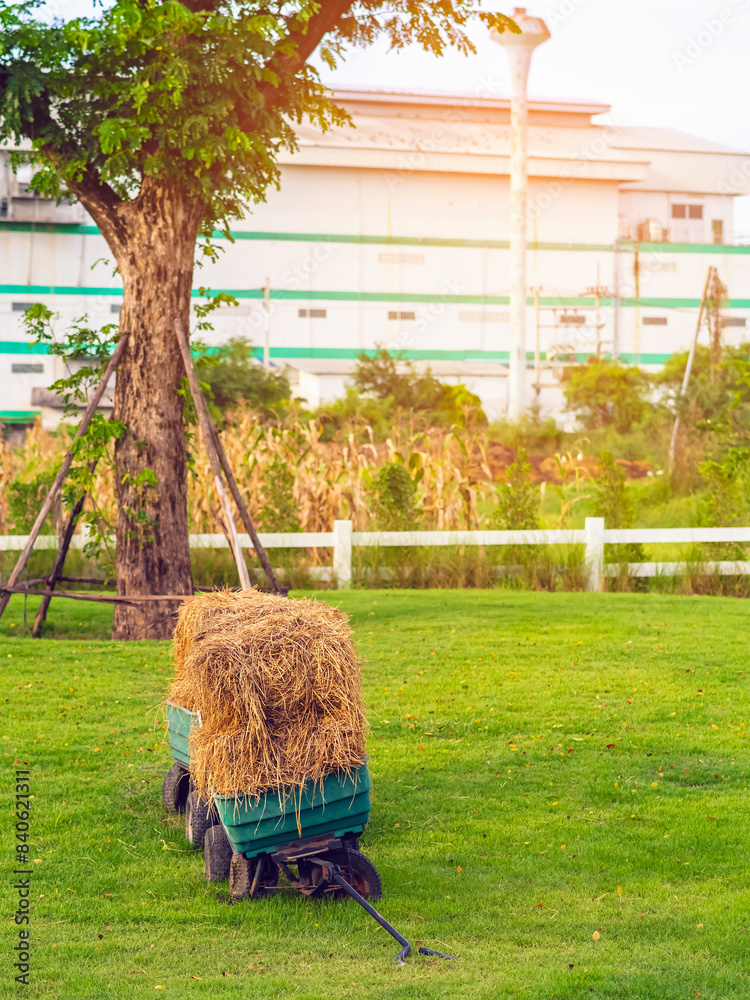 Old vintage carriage with hay stacks in green field. Green hay cart in ...