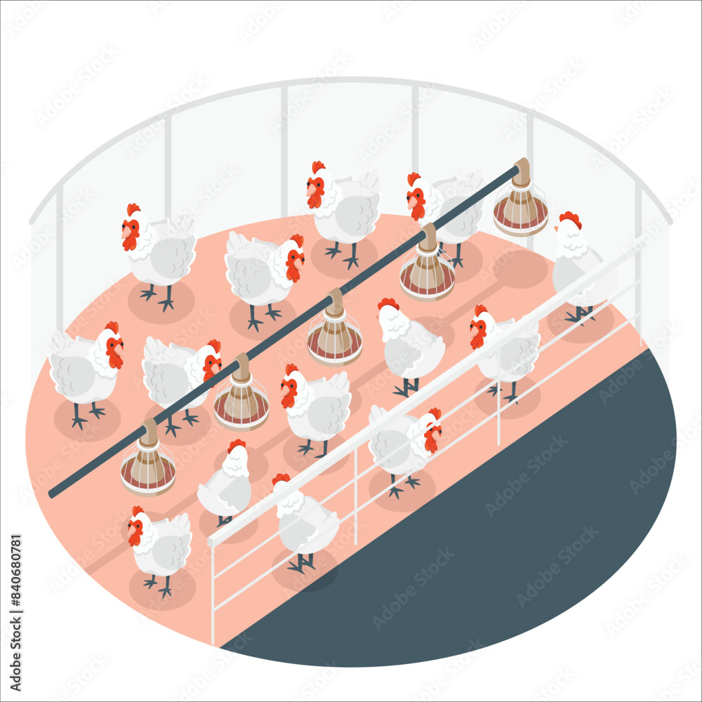 3d White chicken in smart farming business by auto feeding. Indoors ...