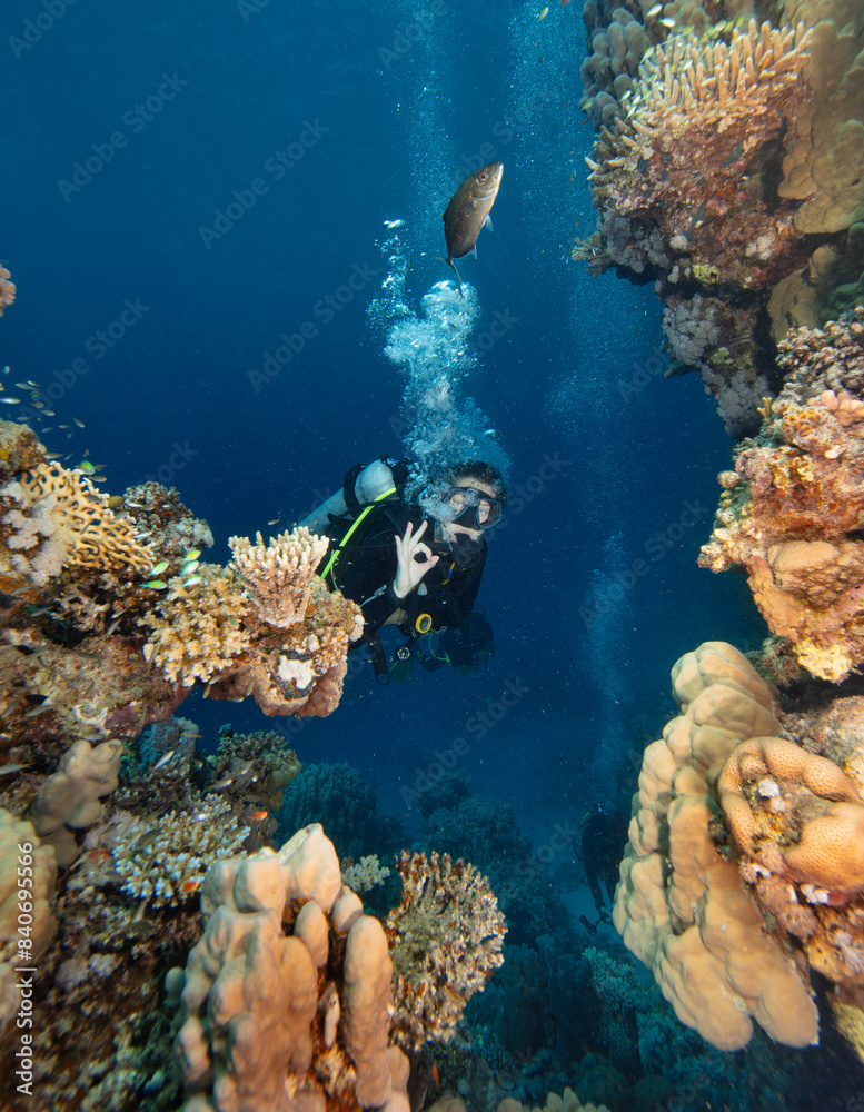Girl Scuba Diver Diving on Tropical Coral Reef with Blue Background and ...