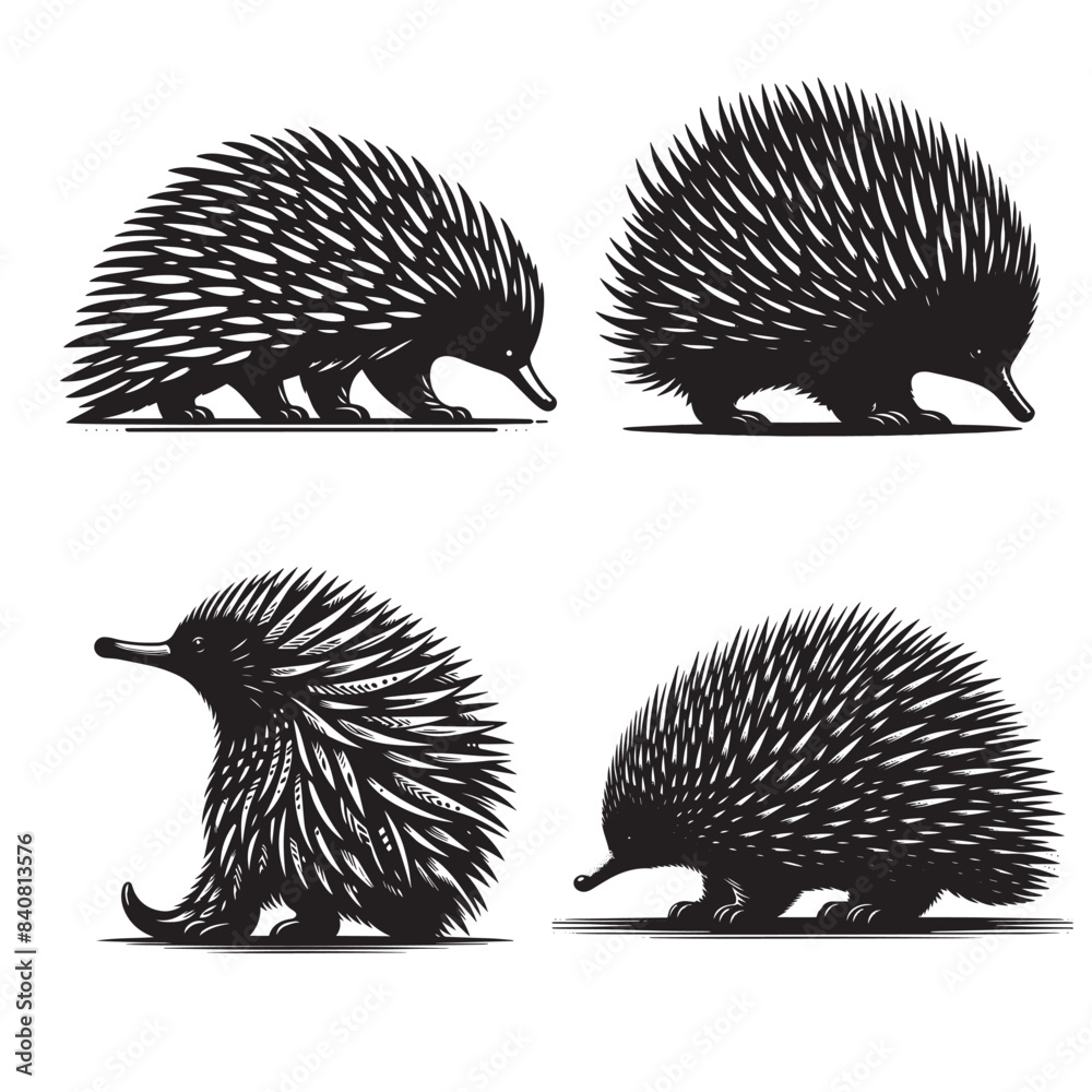 Vetor de Black and White Vector Echidna Silhouettes, Echidna Silhouette ...