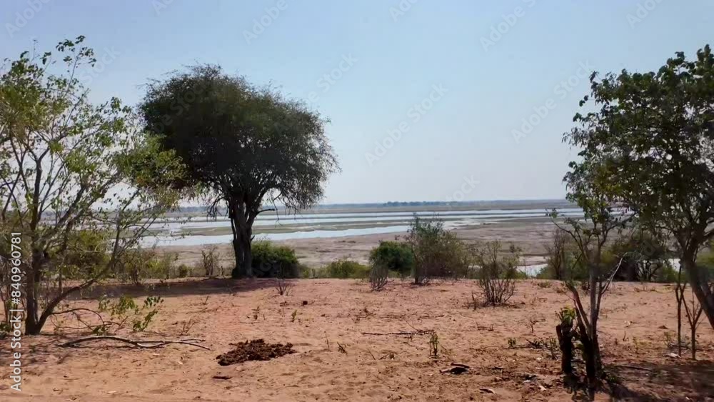 Chobe River At Chobe National Park In Kasane Botswana. African Animals ...