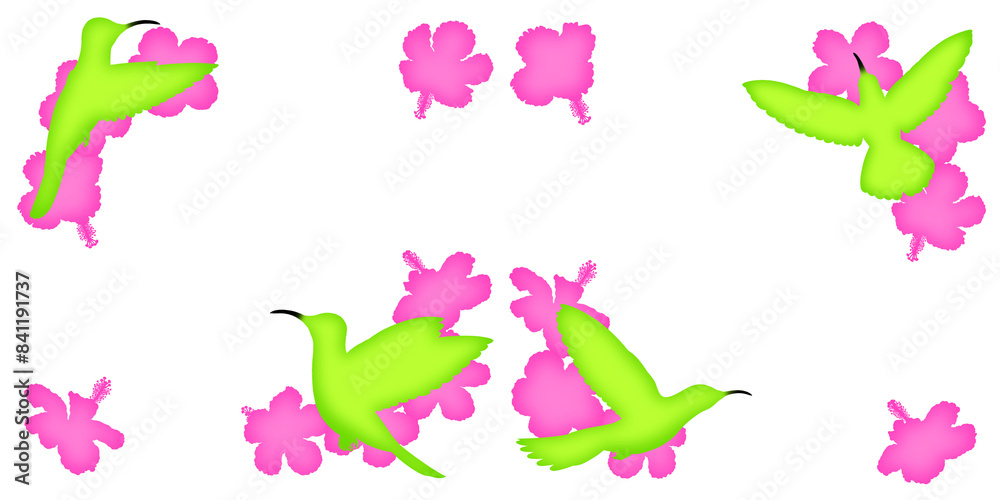 Colorful frames decorated with hummingbirds and hibiscus flowers ...
