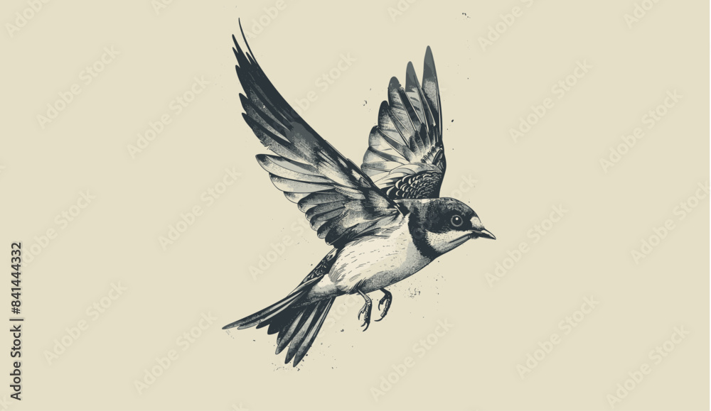 Vector old-style illustration with grain, swallow isolated on ...